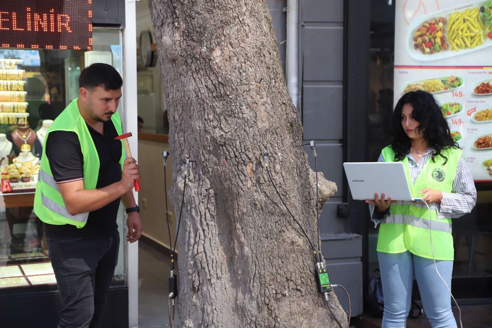 Çevre ve İnsan Odaklı Uygulama: Akustik Tomografi Yöntemiyle Ağaçların ...