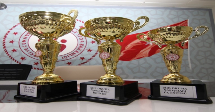 SAKARYA TÜRKÜSÜ YARIŞMASI SONUÇLANDI